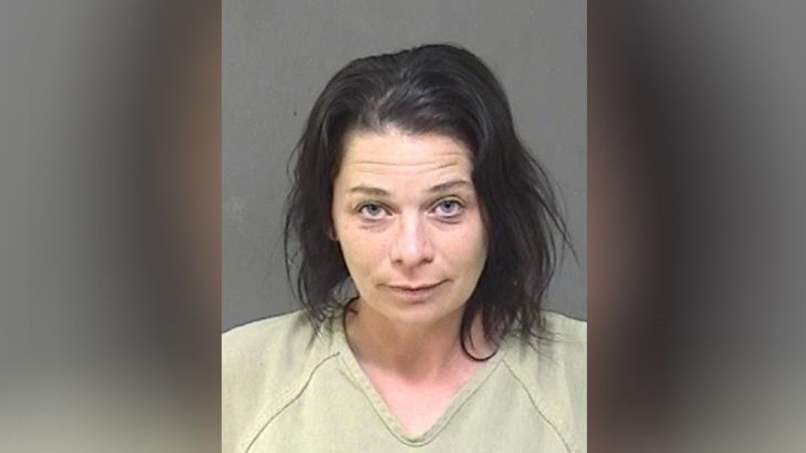 Zanesville woman claims she sold drugs to help kids; gets 11-year ...
