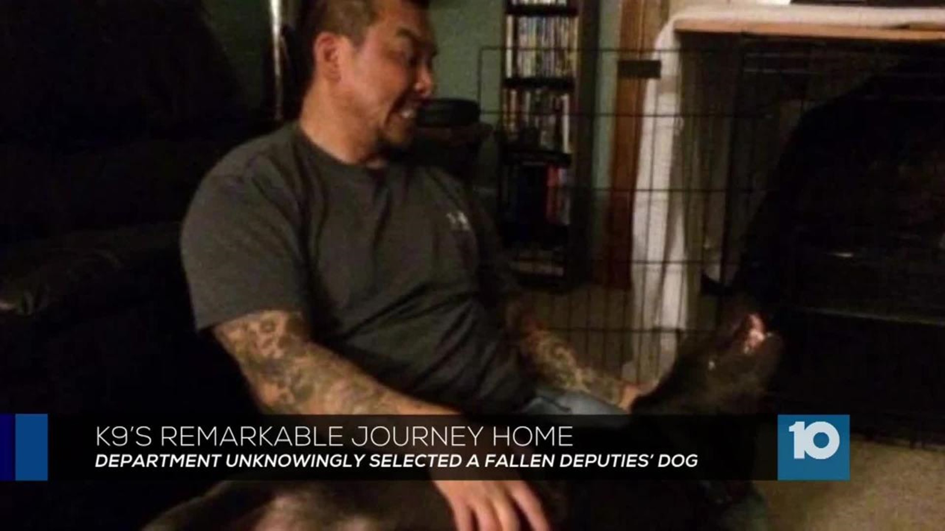 Sheriff's deputies say fate is behind K9's emotional journey home ...