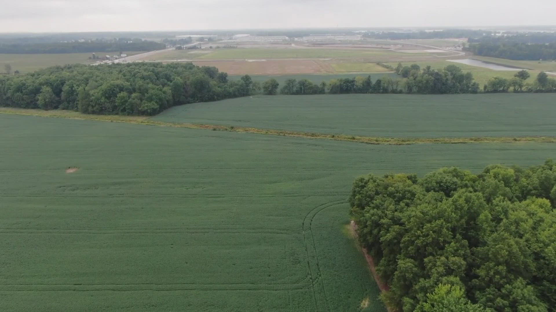 Ohio soybean farmers brace for tariff impacts | 10tv.com