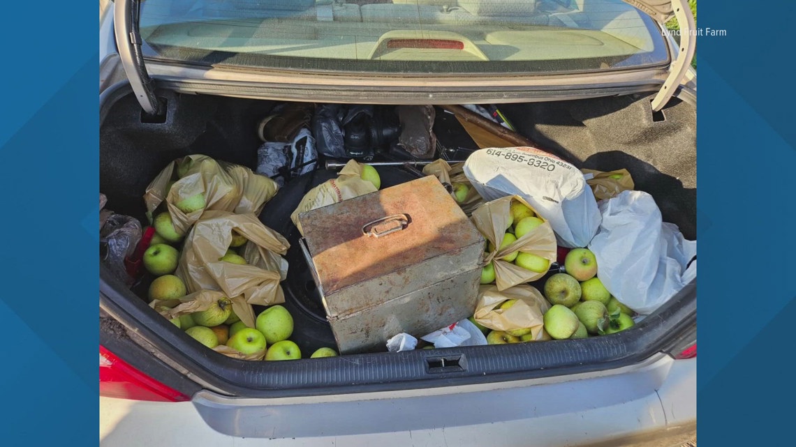 Lynd Fruit Farm enacts new protocol after more attempted apple thefts ...