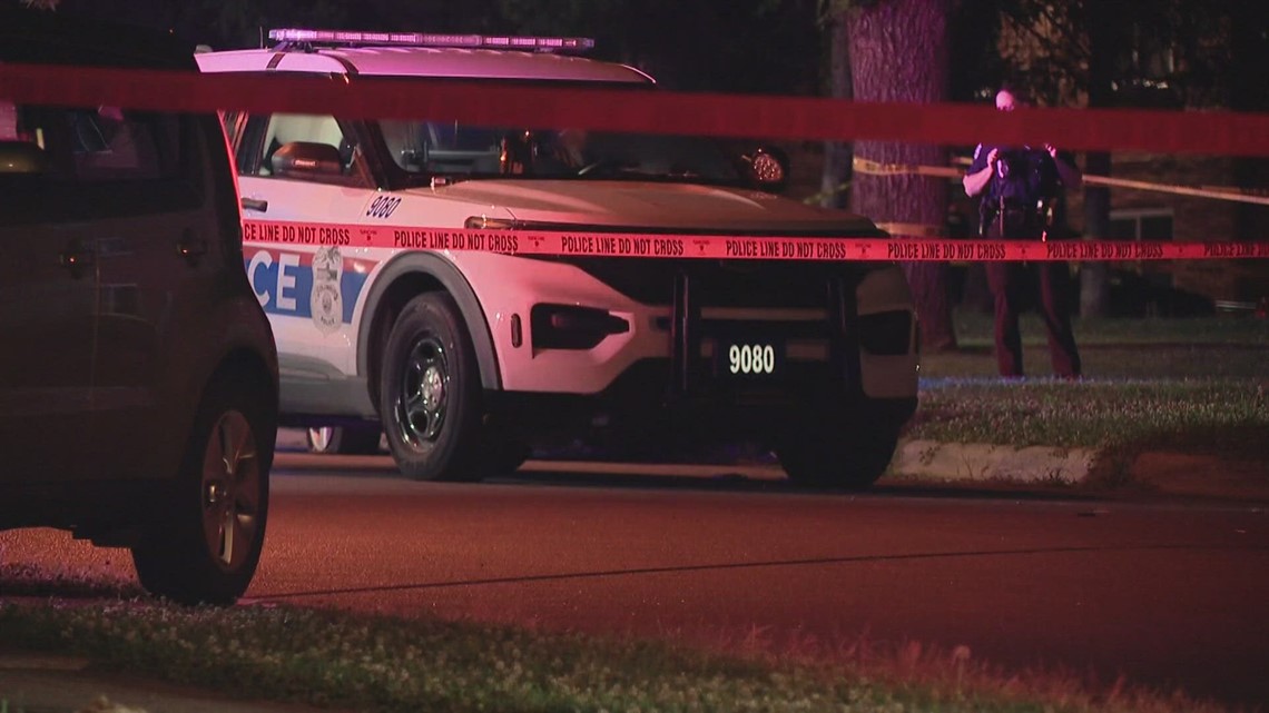 Local neighbor reacts after deadly hit-and-run crash involving 4-year ...