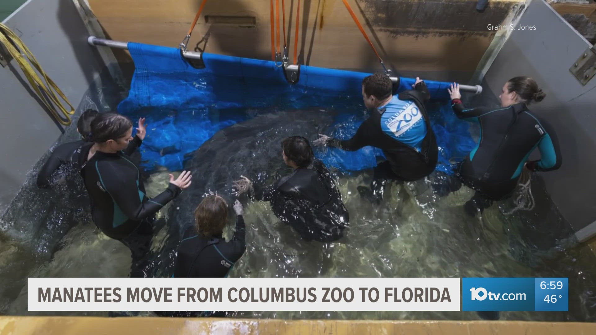 6 manatees successfully rehabilitated at Columbus Zoo, moved back to ...