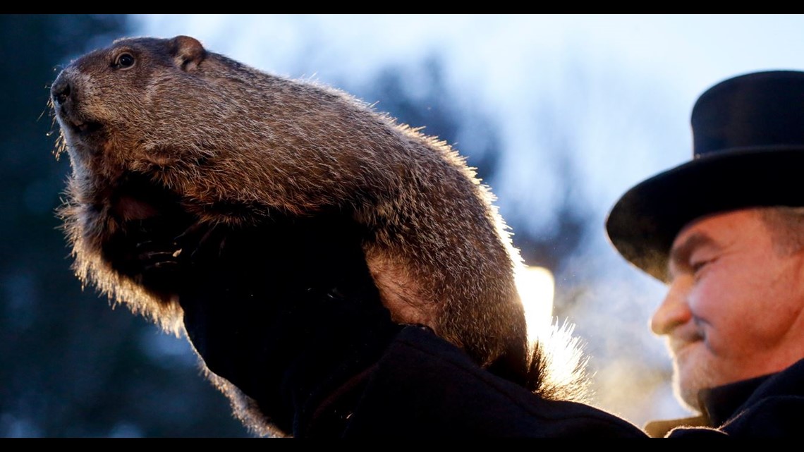 Buckeye Chuck, Punxsutawney predict 6 more weeks of winter | 10tv.com