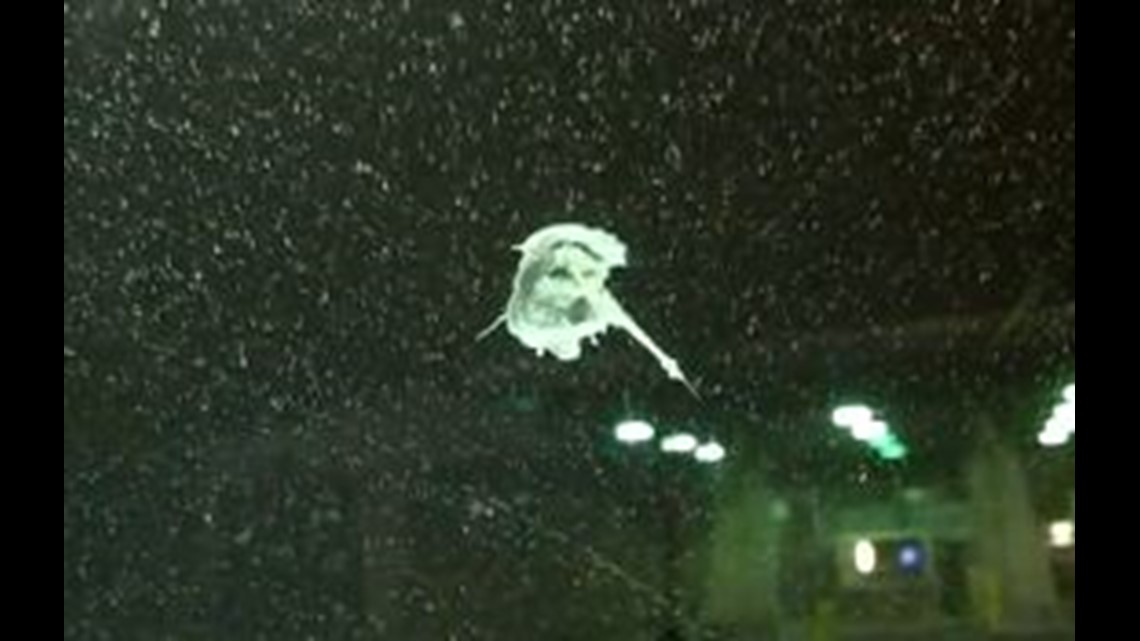 Ohio Man Says Image Of Jesus Appears In Bird Dropping | 10tv.com