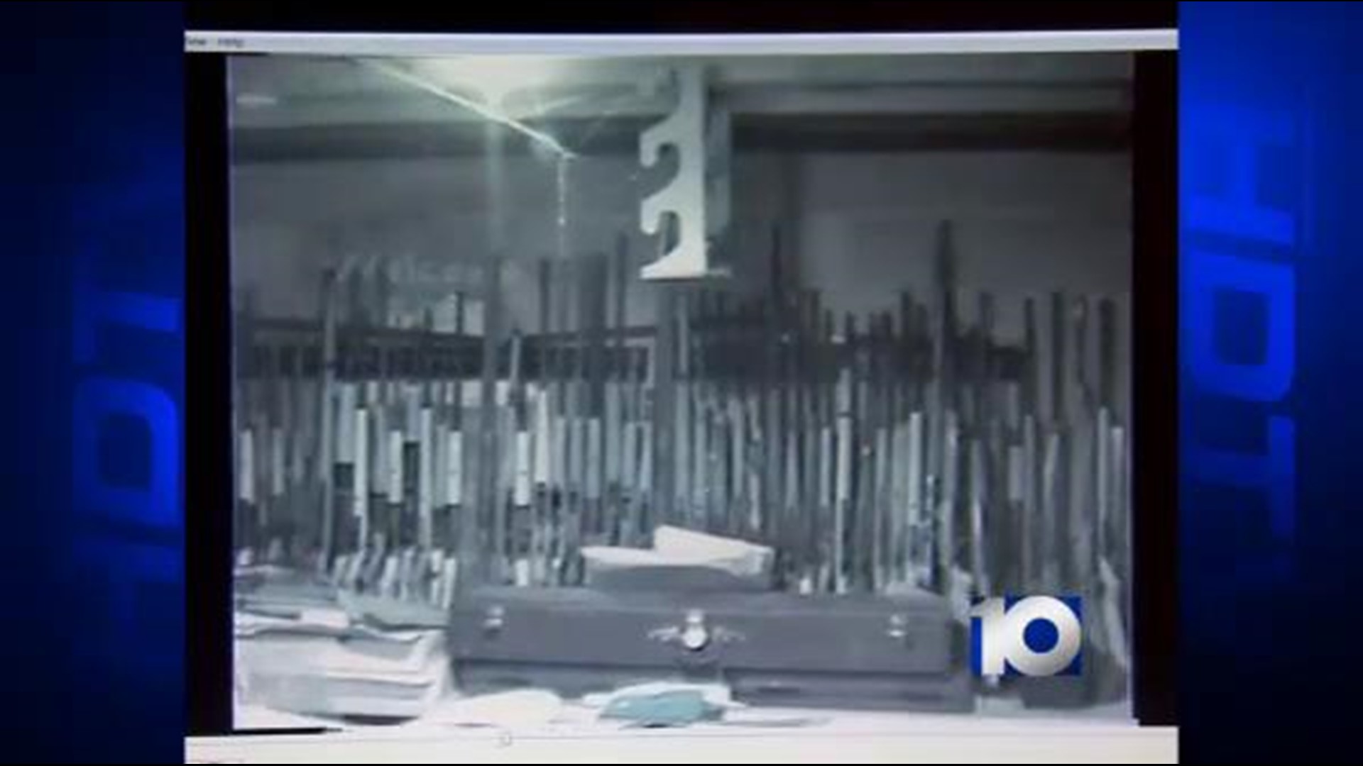 Widow Of Zanesville Man Who Set Exotic Animals Free To Get 40 Guns Back ...