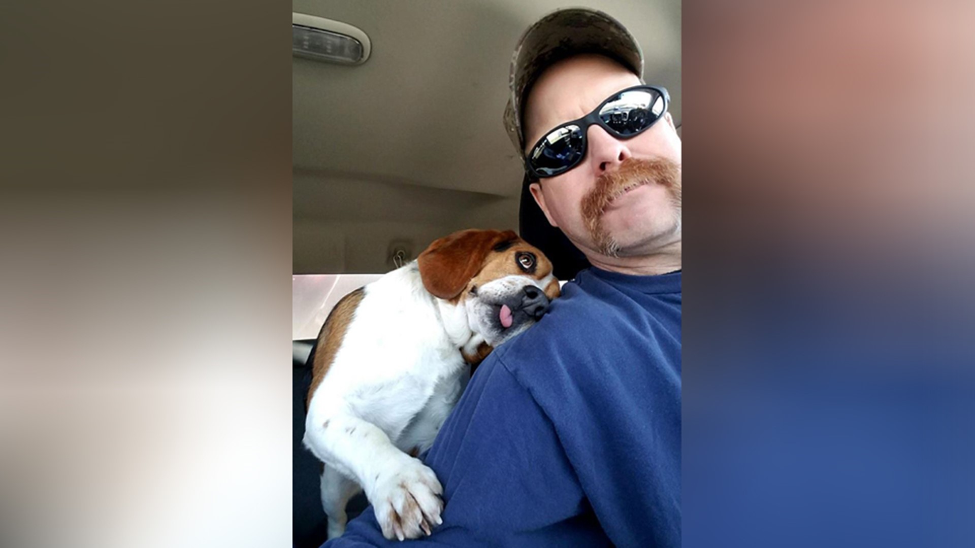 Heartwarming photo of rescue dog on his "freedom ride" goes viral ...