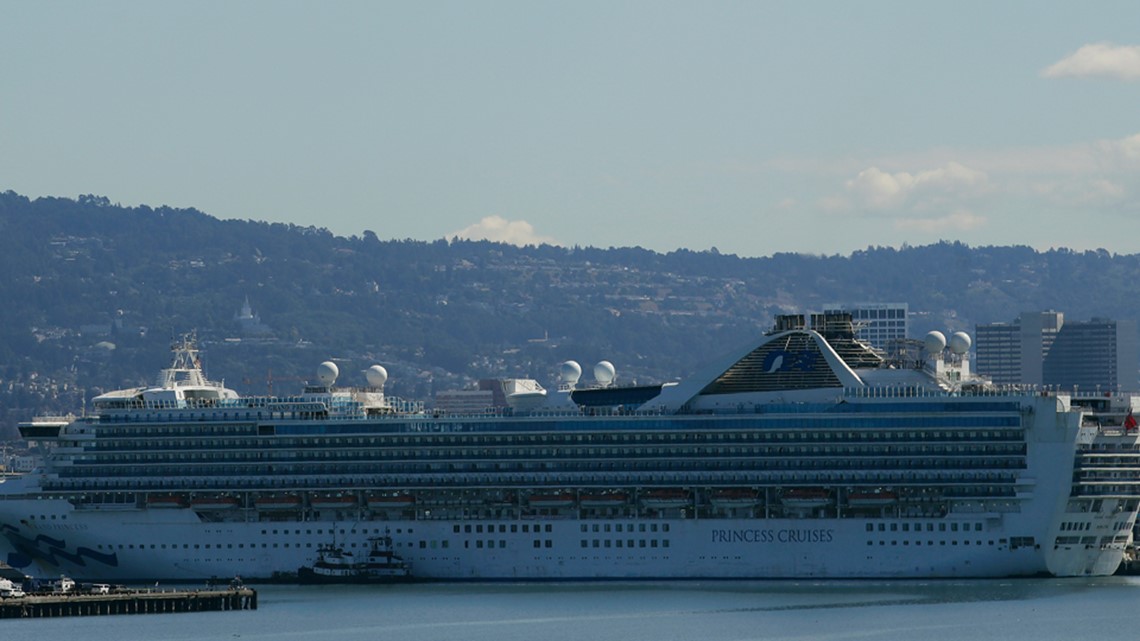Carnival's Princess Cruises suspends operations, taking all 18 of its ...