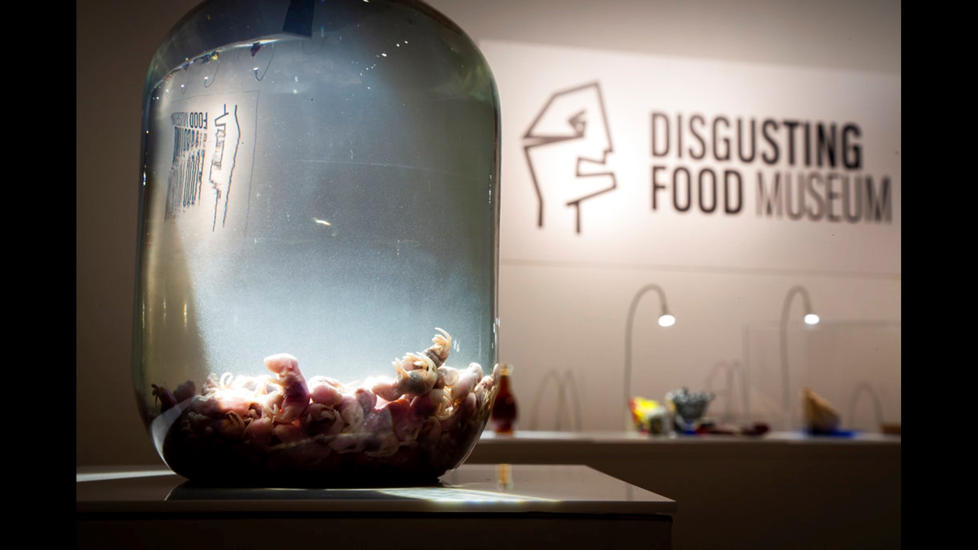 Dinner anyone? Rotting fish, maggots on menu at Disgusting Food Museum | 10tv.com