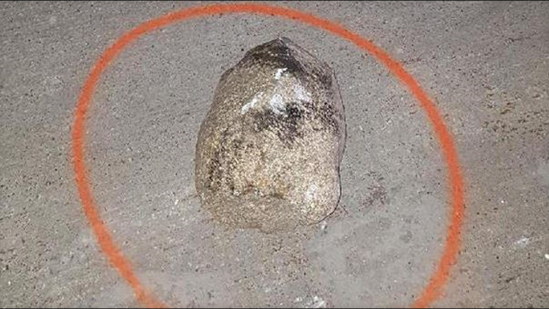 Rock dropped from overpass kills driver; teens charged with murder ...