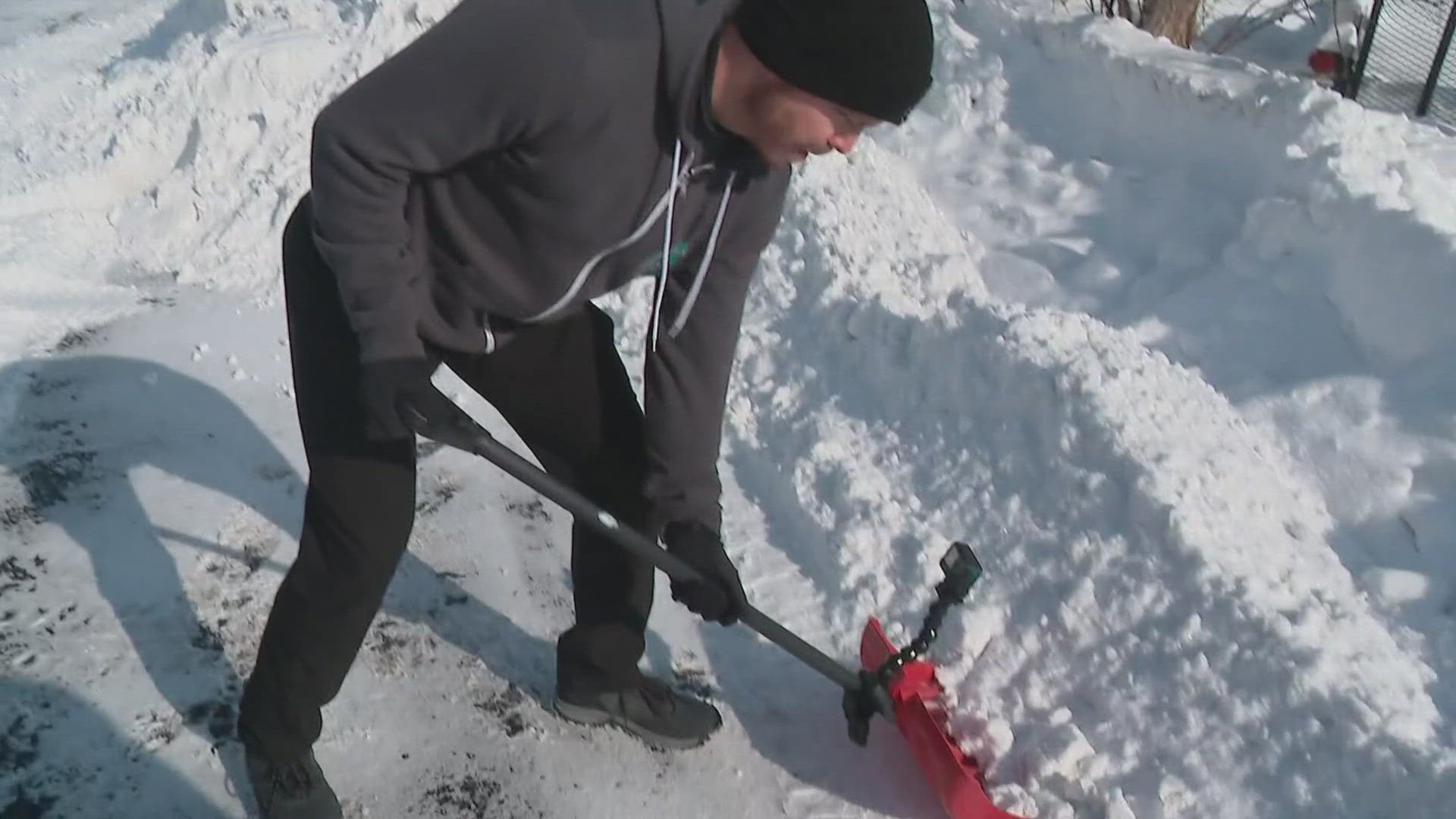 What are snow fleas? Why tiny black bugs show up on snowy days | 10tv.com