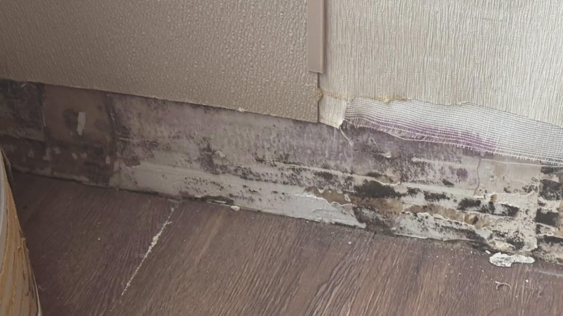 Judge rules for Ohio State students in mold case | 10tv.com