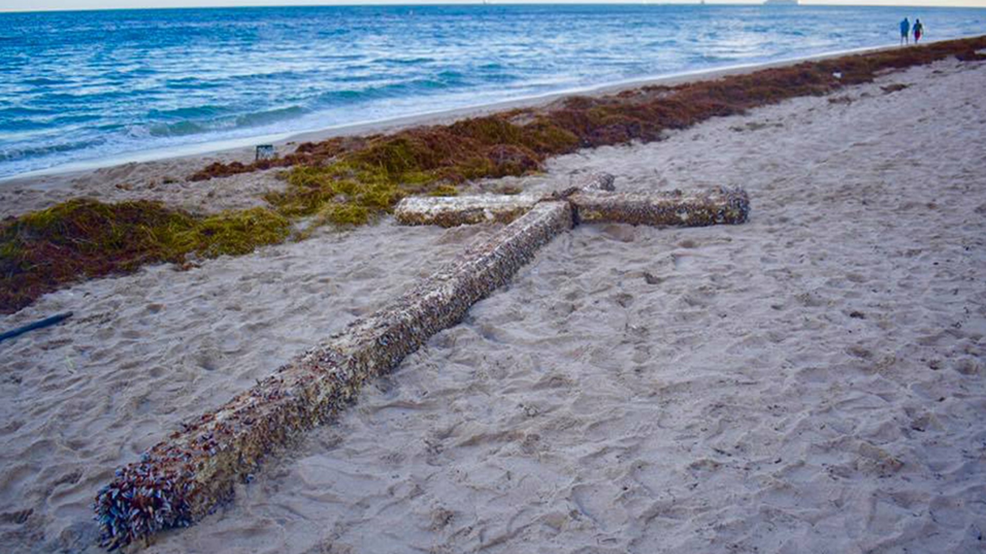 Holy water: Gigantic cross washes up on Florida beach shore | 10tv.com