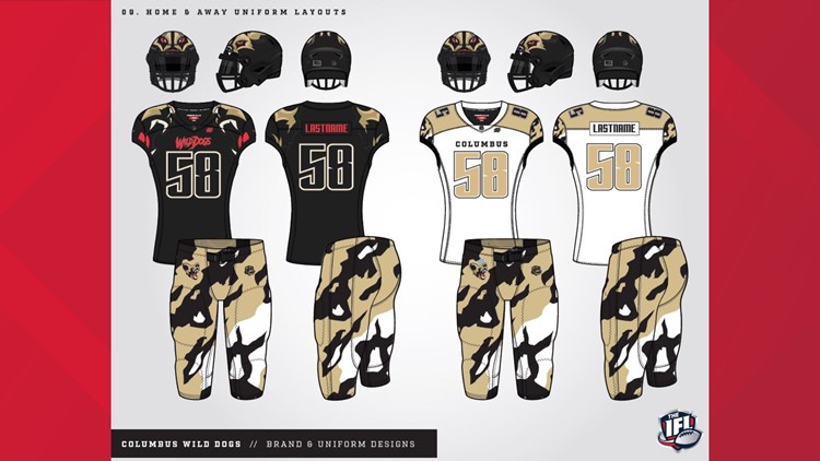 Columbus Wild Dogs joining Indoor Football League in 2022 | 10tv.com