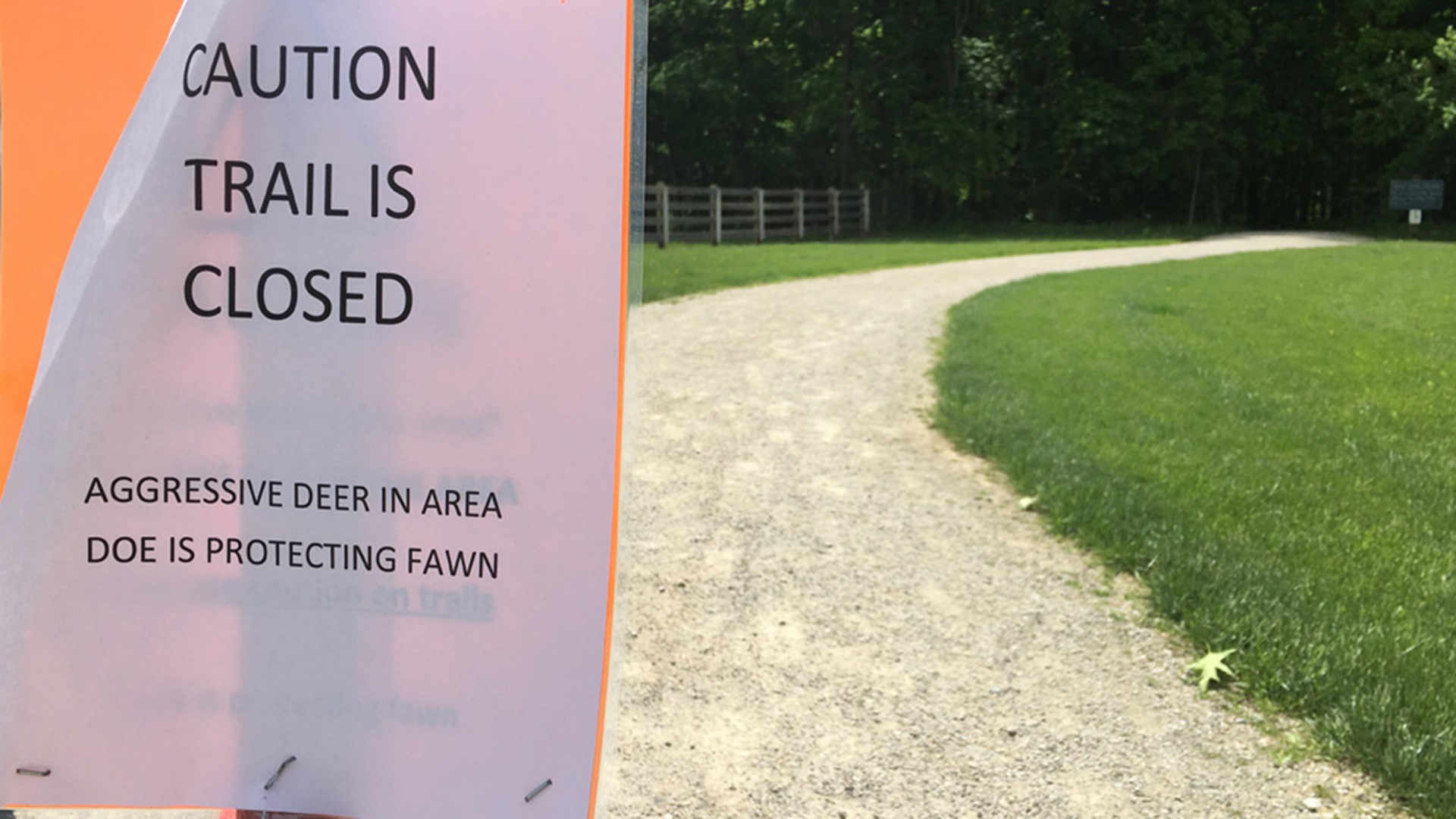 Columbus Metro Parks issues warning after video shows deer charging ...