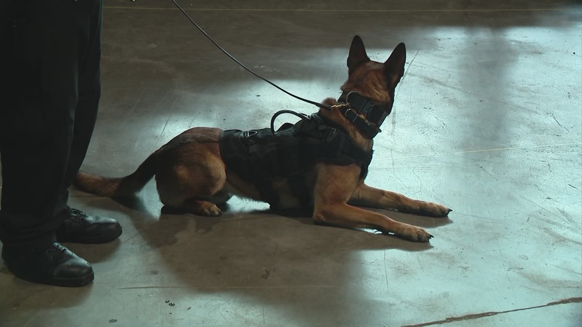 Dozens of explosive sniffing K-9s get certified at Nationwide Arena ...