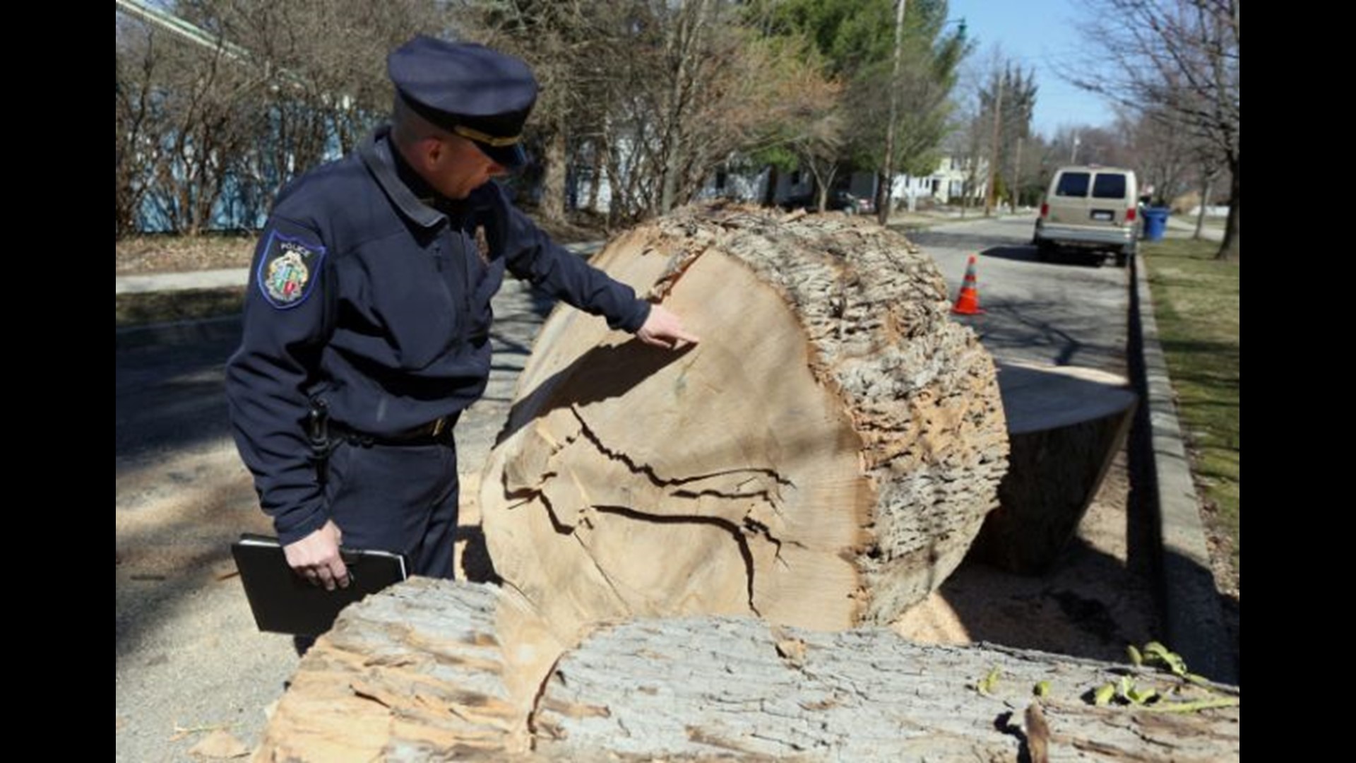 Thousands of central Ohio ash trees succumbing to borer | 10tv.com