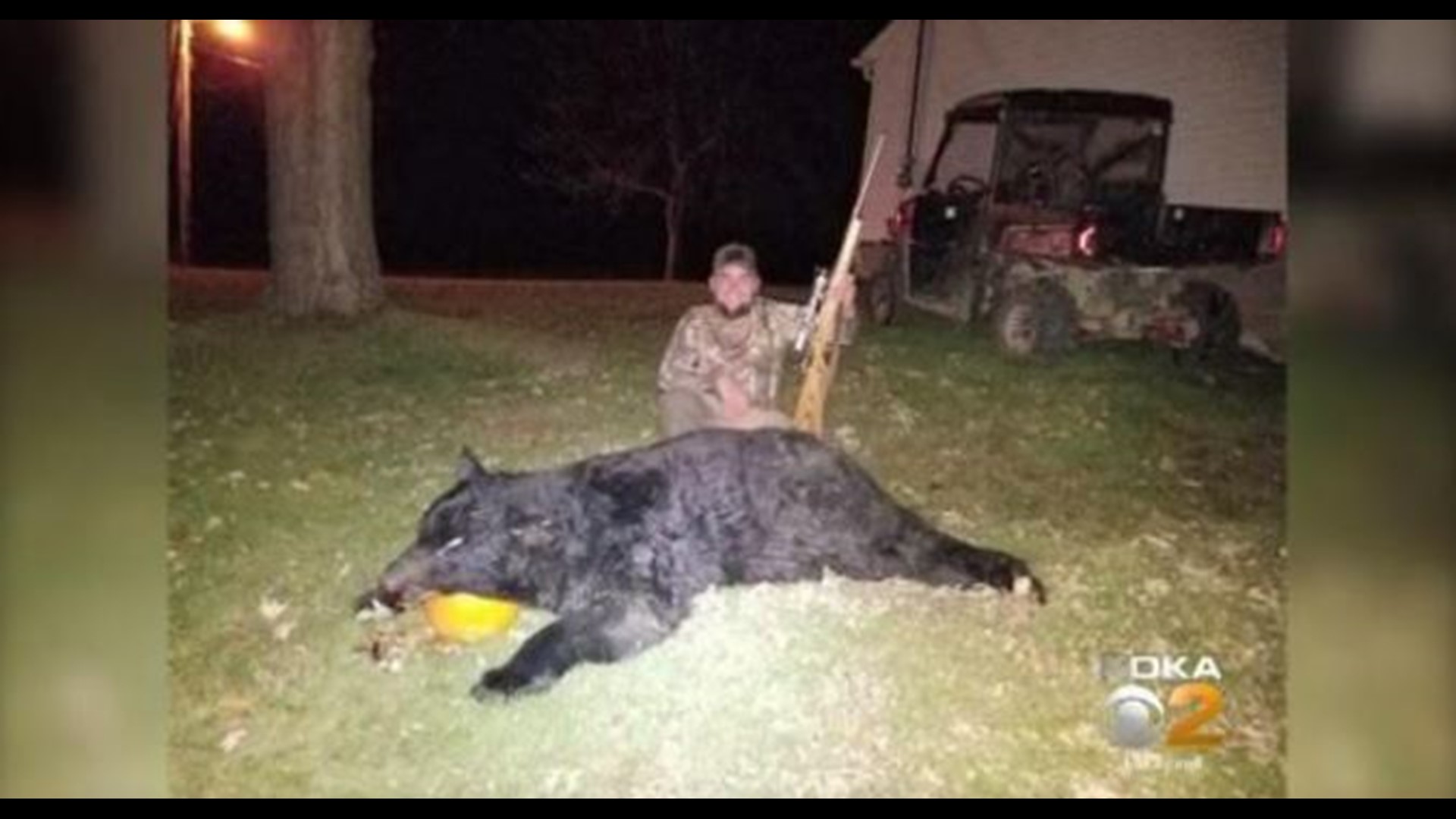 Hunter kills ginormous 600-pound bear in Pennsylvania | 10tv.com