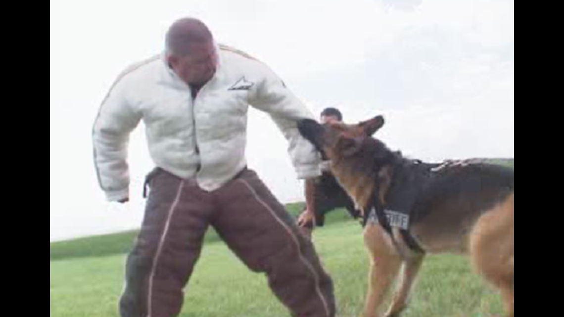 Police K9 Handlers Put To The Test In Intense Training | 10tv.com