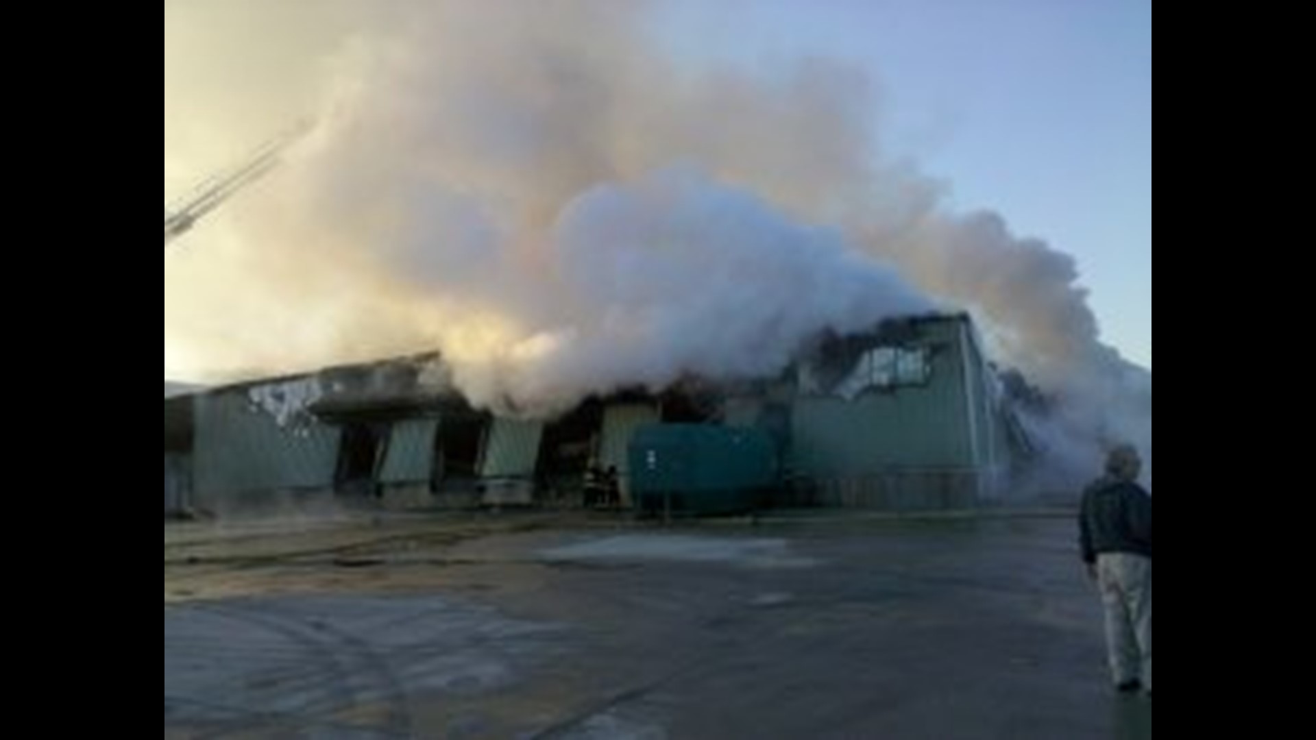 250,000 Hens Euthanized After Egg Farm Fire | 10tv.com