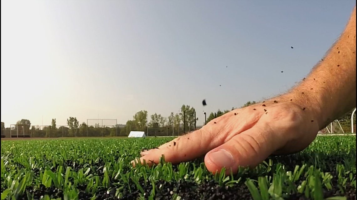 The Trouble With Turf: 10 Investigates Uncovers Impact Dangers | 10tv.com