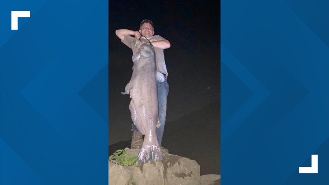 'It's more than just a big fish' | Tennessee man reels in 103-pound ...