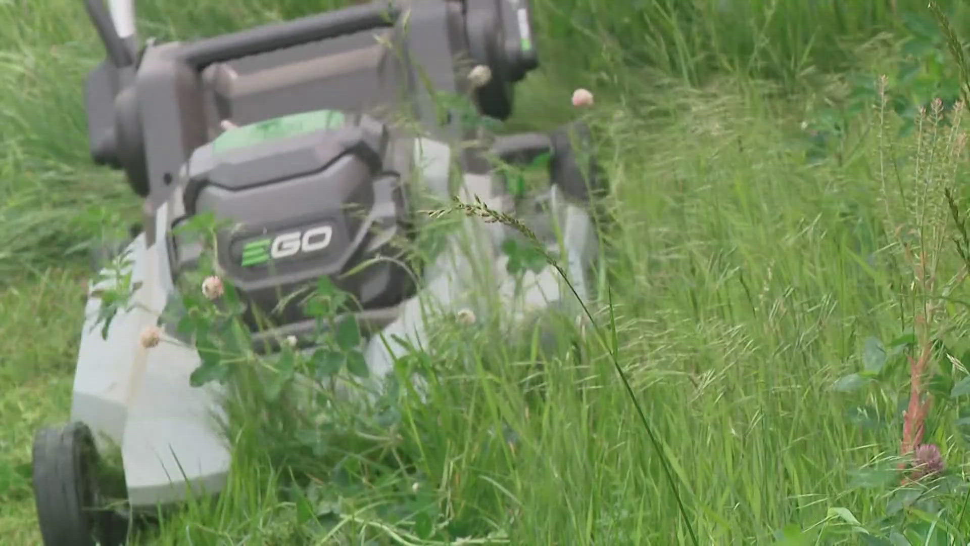 Columbus residents face fines over path maintenance | 10tv.com