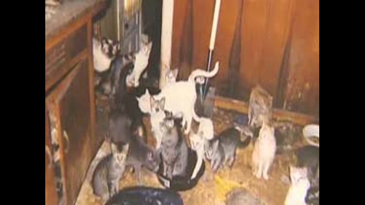 Animal Hoarding Cases Reach Courtrooms Weekly | 10tv.com