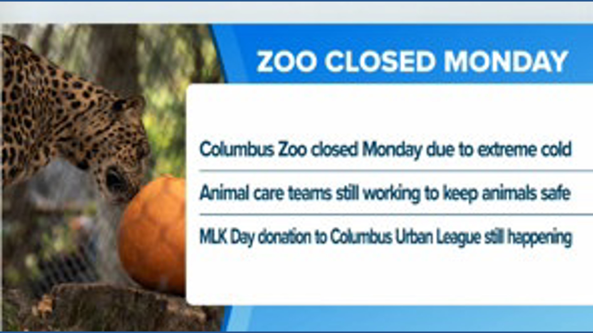Columbus Zoo and Aquarium closed Monday due to freezing temps | 10tv.com