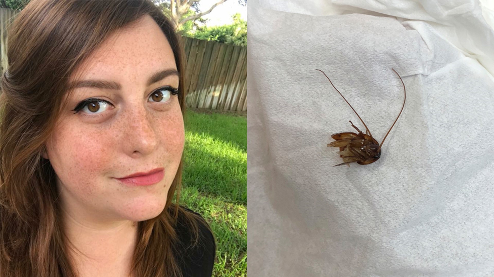 Florida woman's gruesome roach-in-ear tale goes viral | 10tv.com