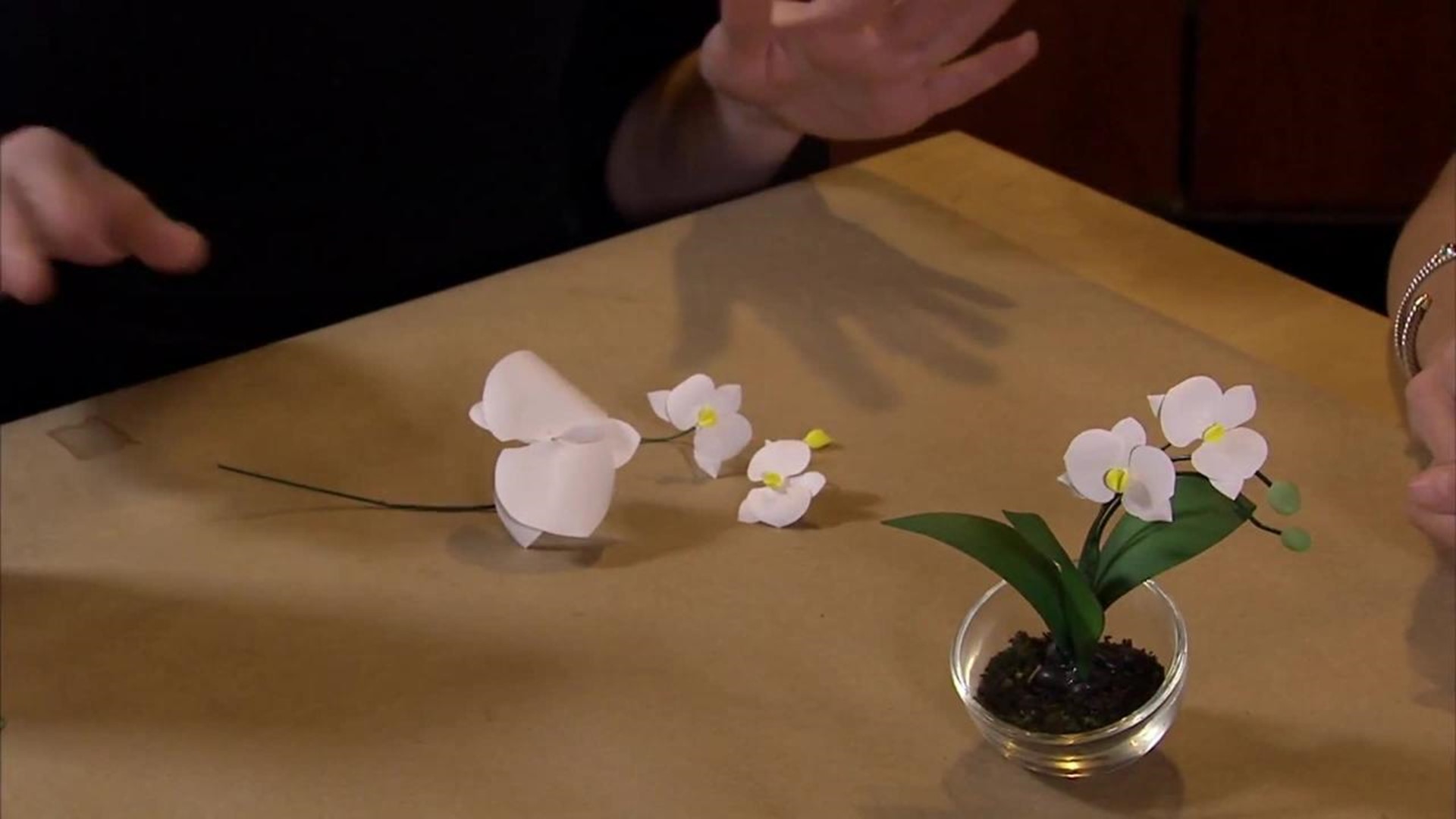 Get Inspired: Learn how to make paper craft plants | 10tv.com