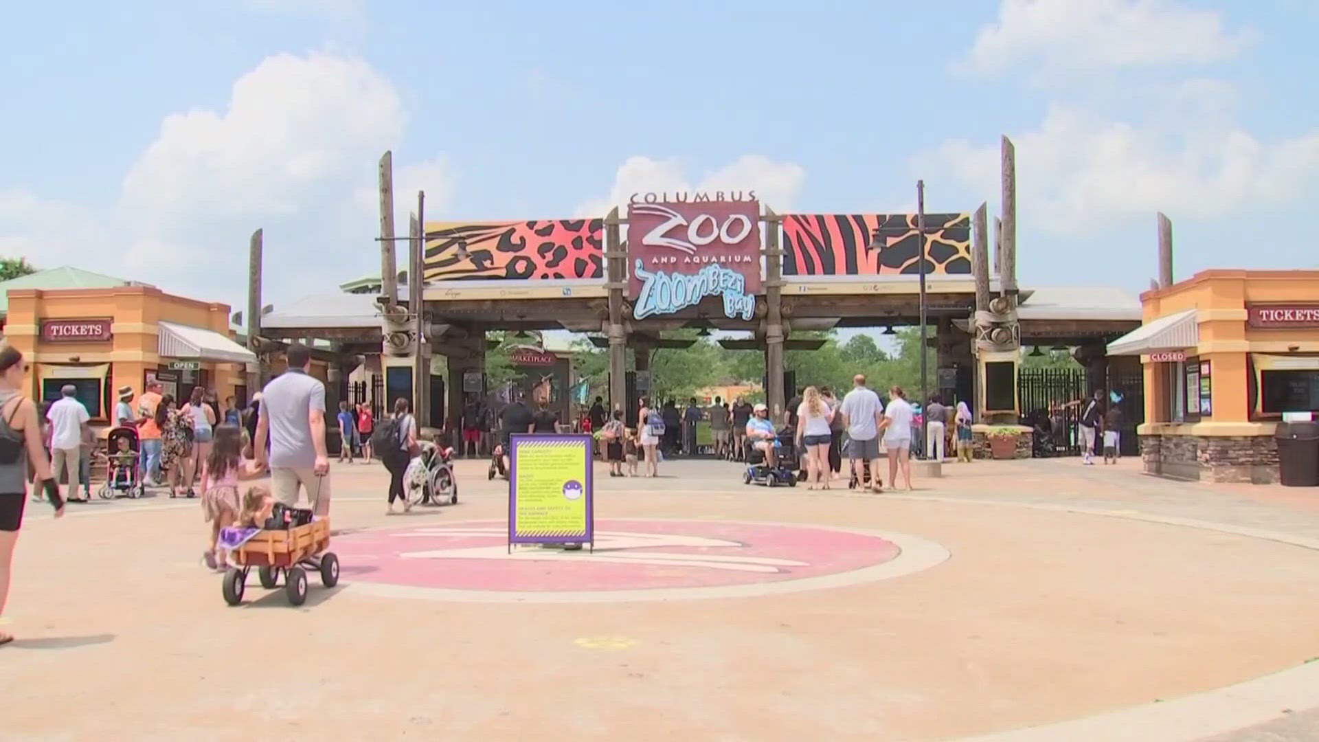 Wildlights returning to Columbus Zoo and Aquarium | 10tv.com