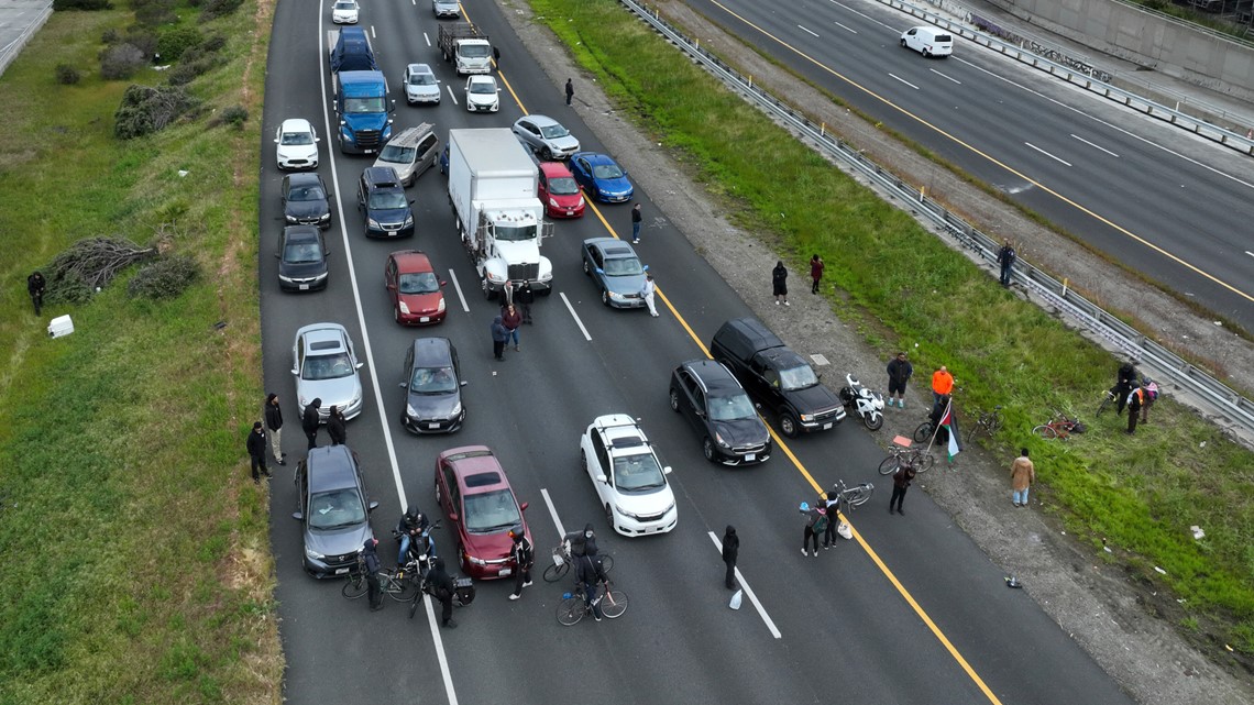 Golden Gate Bridge Shut Down Over Pro Palestinian Protest