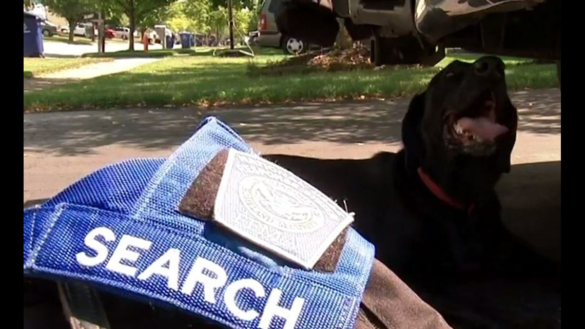 Central Ohio dog trained in FEMA search and rescue | 10tv.com