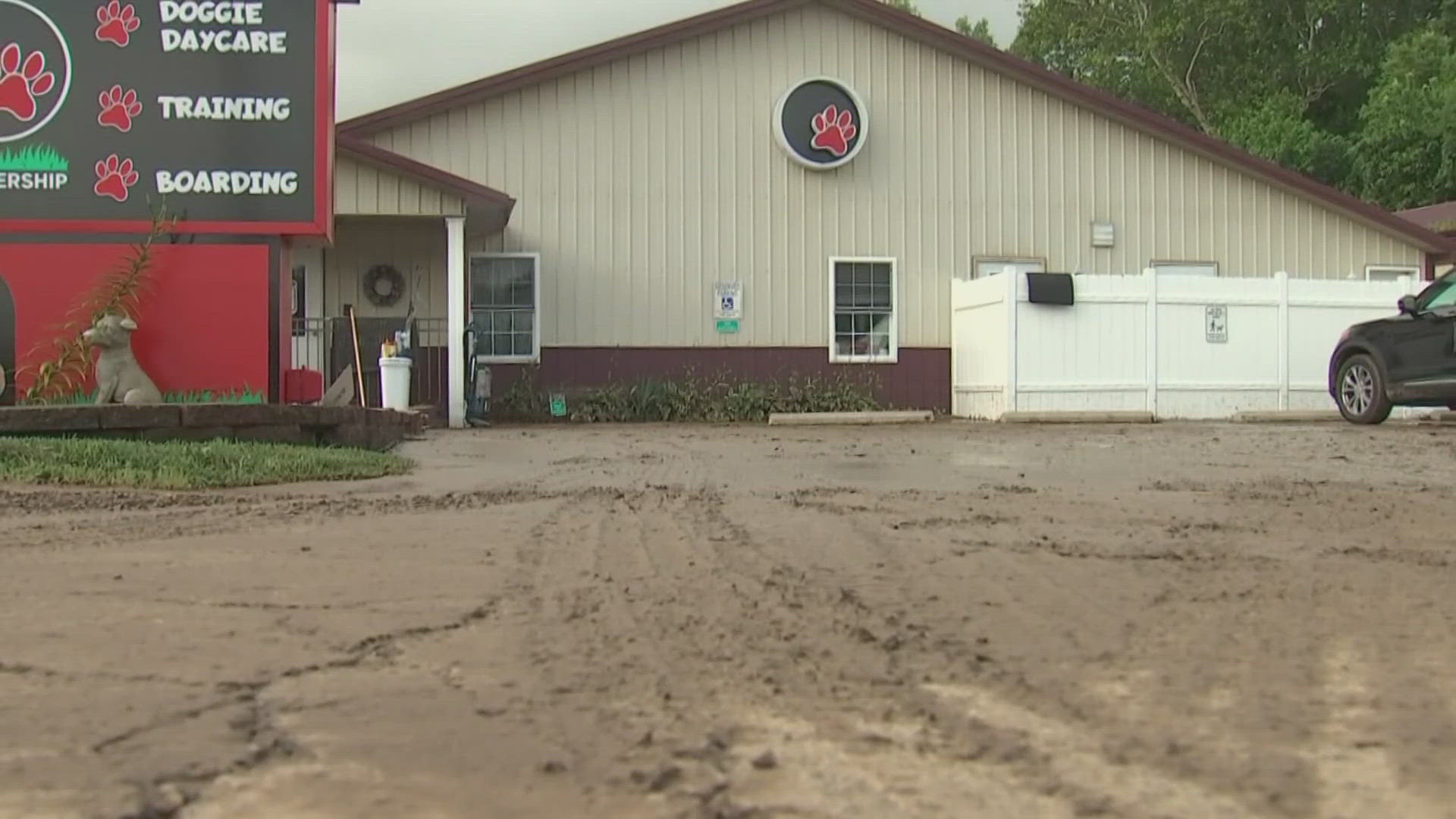 Flash flooding damages dog day care center in Lancaster: 'We don't know ...