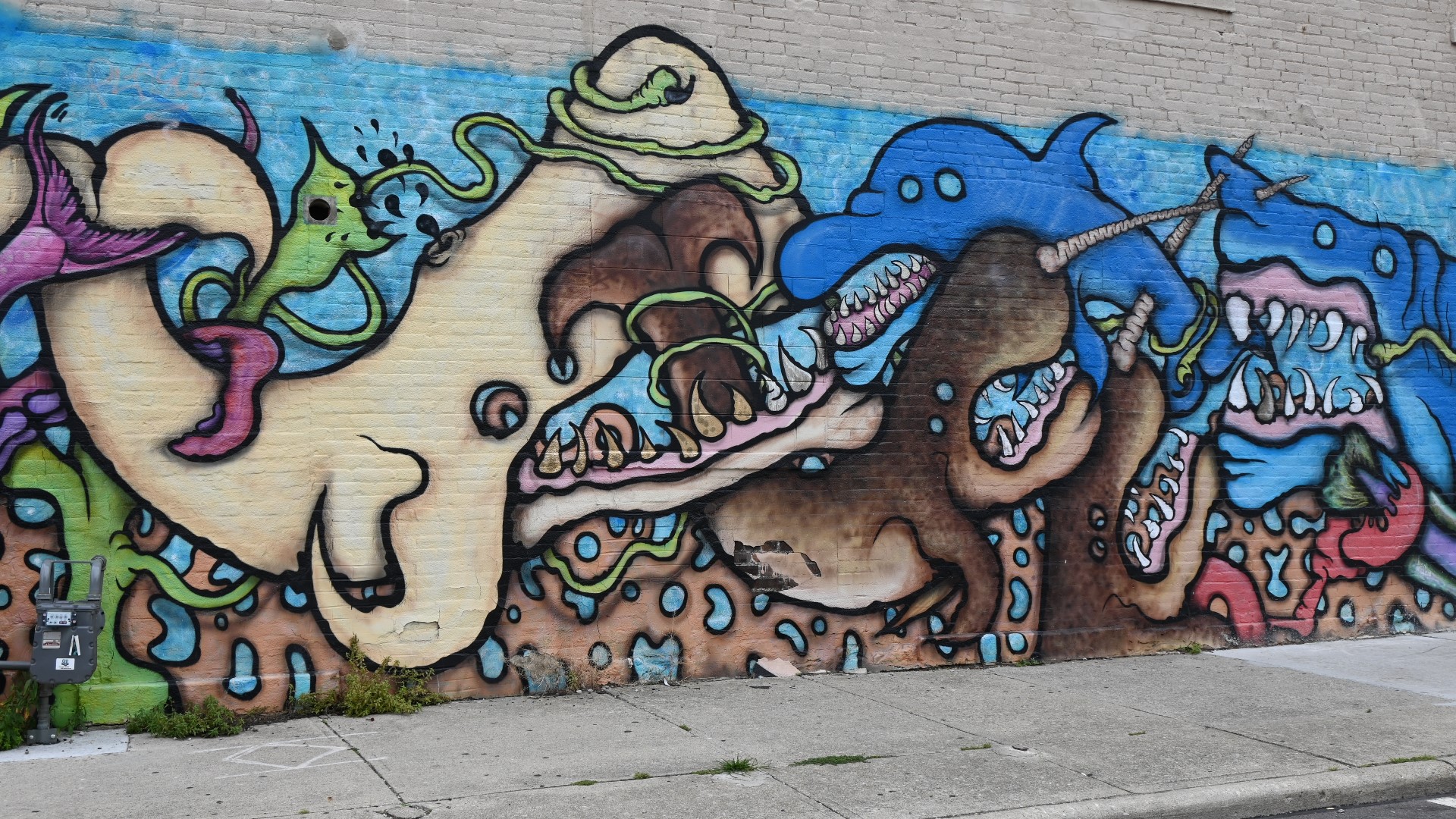 A look at the creative murals in Columbus and the artists behind them ...