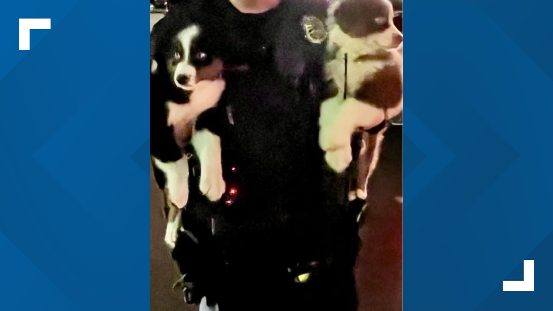 Matthew Pancake held on a $10,000 bond | Columbus, Ohio | 10tv.com