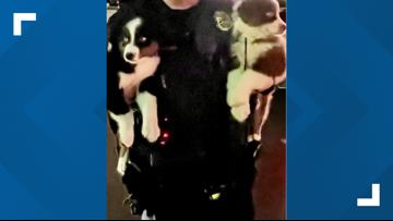 Matthew Pancake held on a $10,000 bond | Columbus, Ohio | 10tv.com