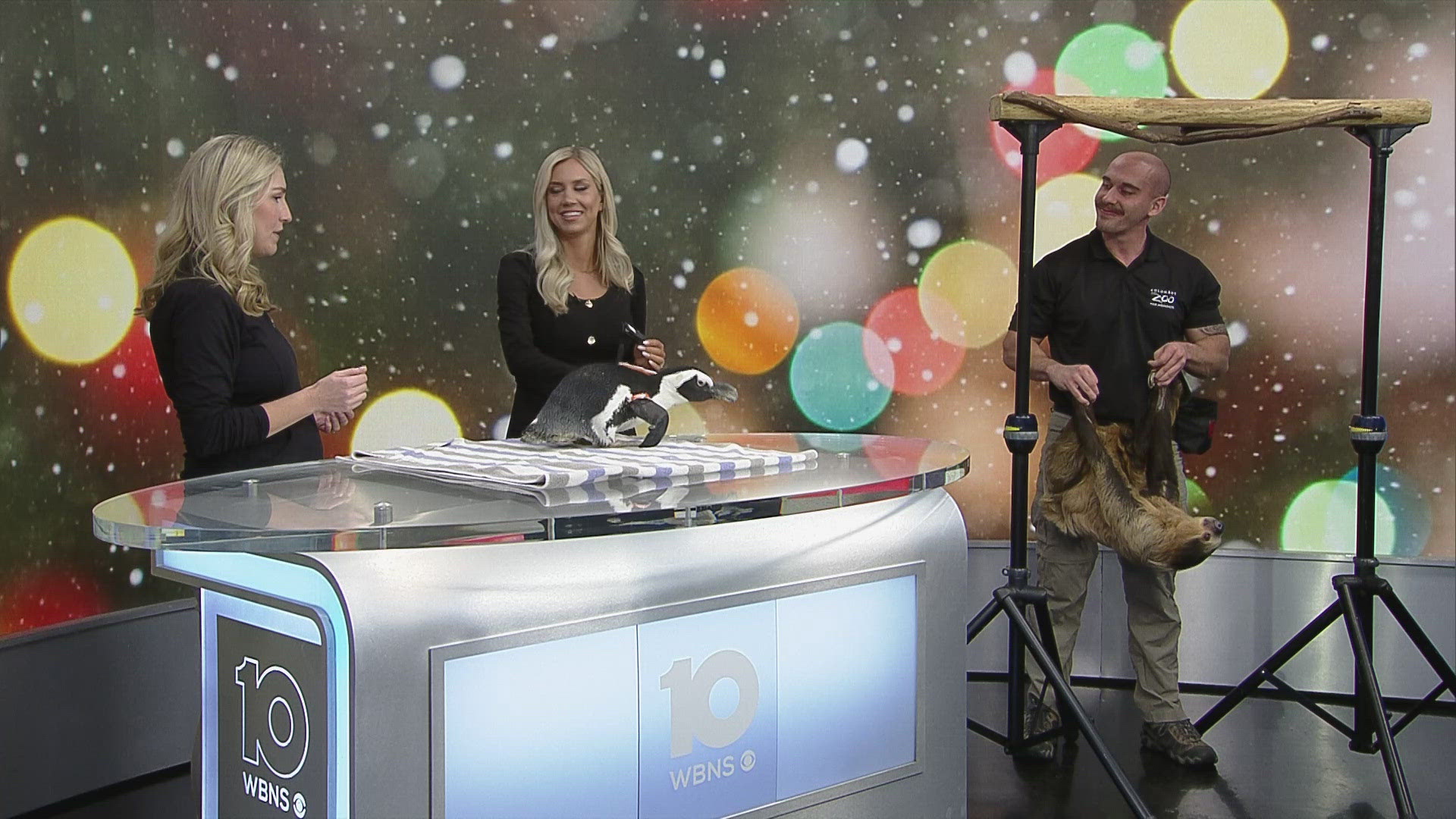 Wildlights returns to Columbus Zoo and Aquarium for 37th year | 10tv.com