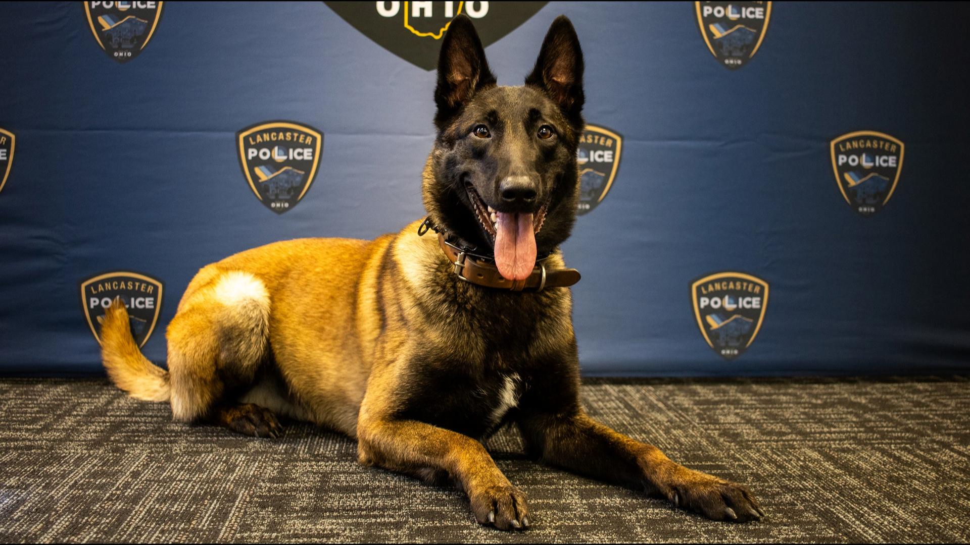 Lancaster police welcome new K-9 to team | 10tv.com