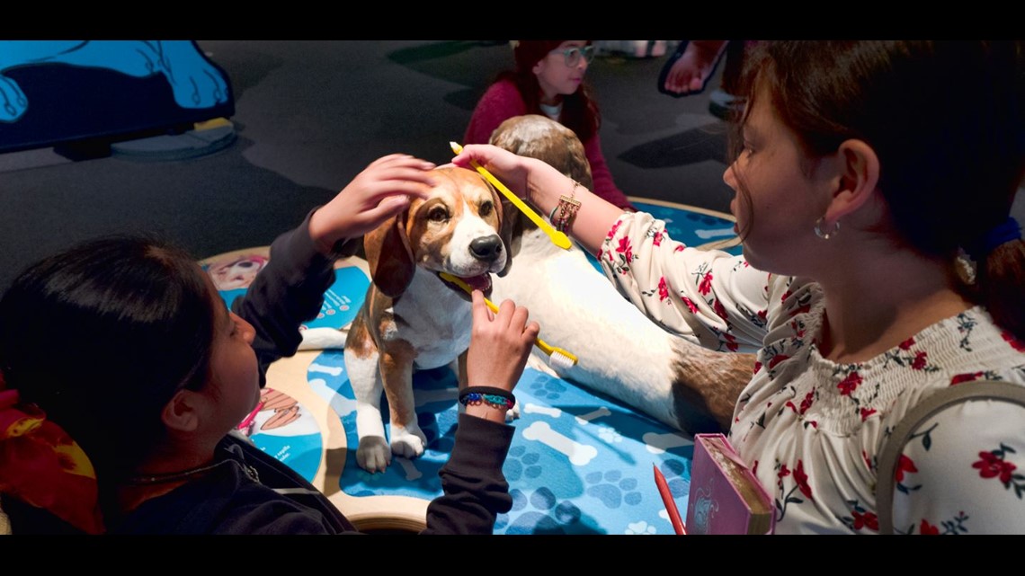 California science exhibit explains the dog-human friendship | 10tv.com