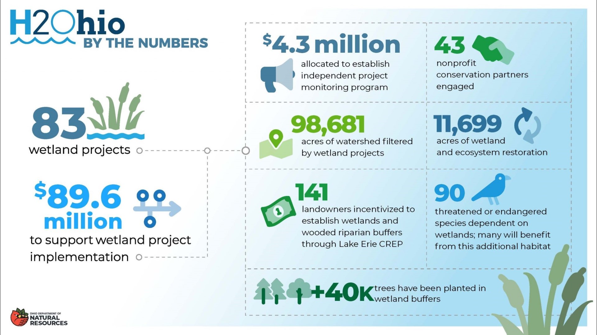 Protecting our Ohio wetlands | 10tv.com