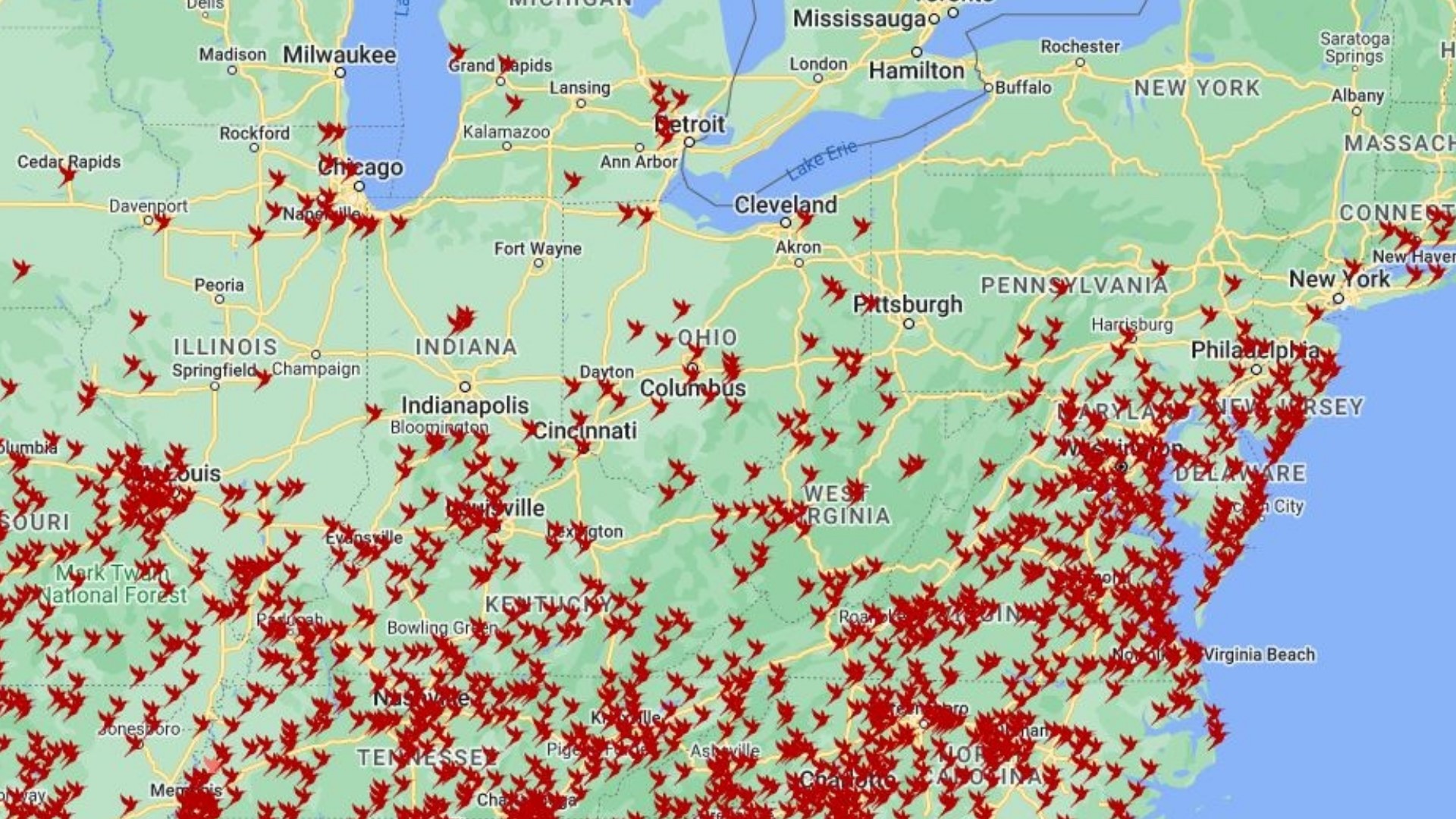Hummingbirds begin their migration north | 10tv.com