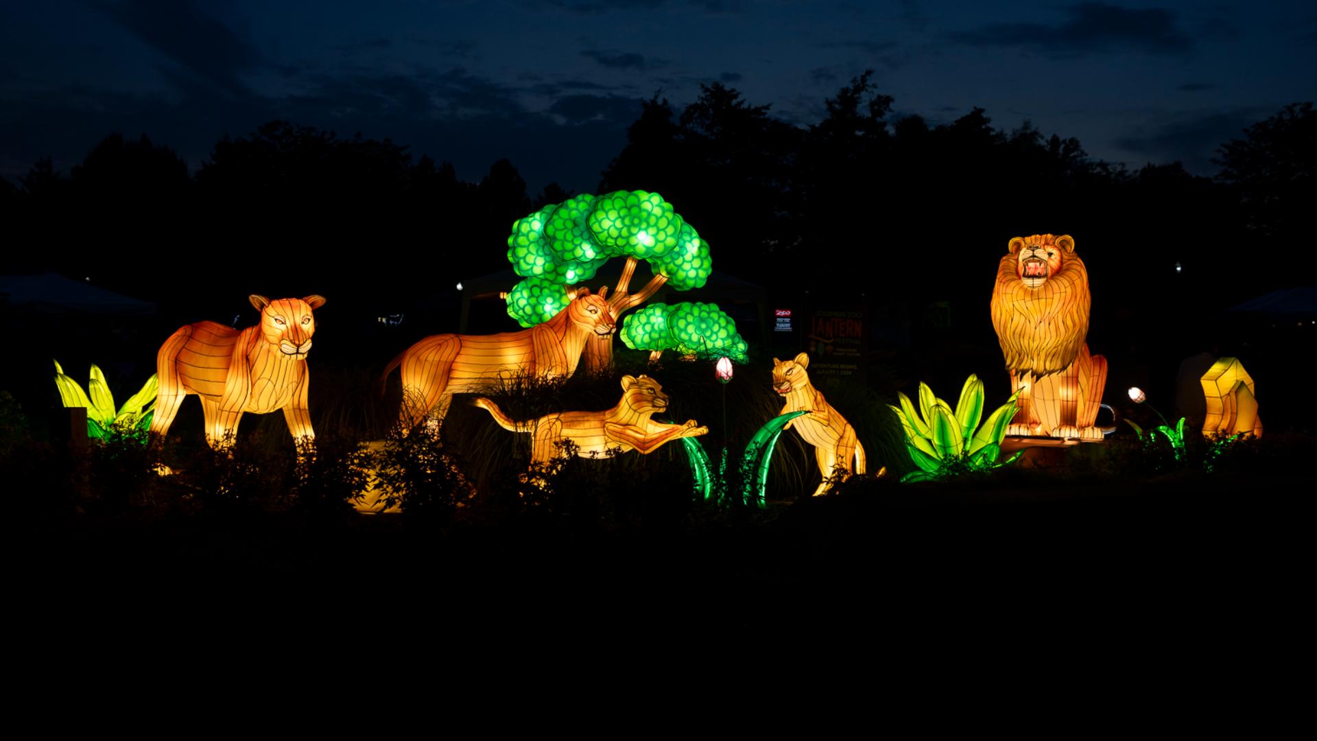 Columbus Zoo announces Lantern Festival in August | 10tv.com