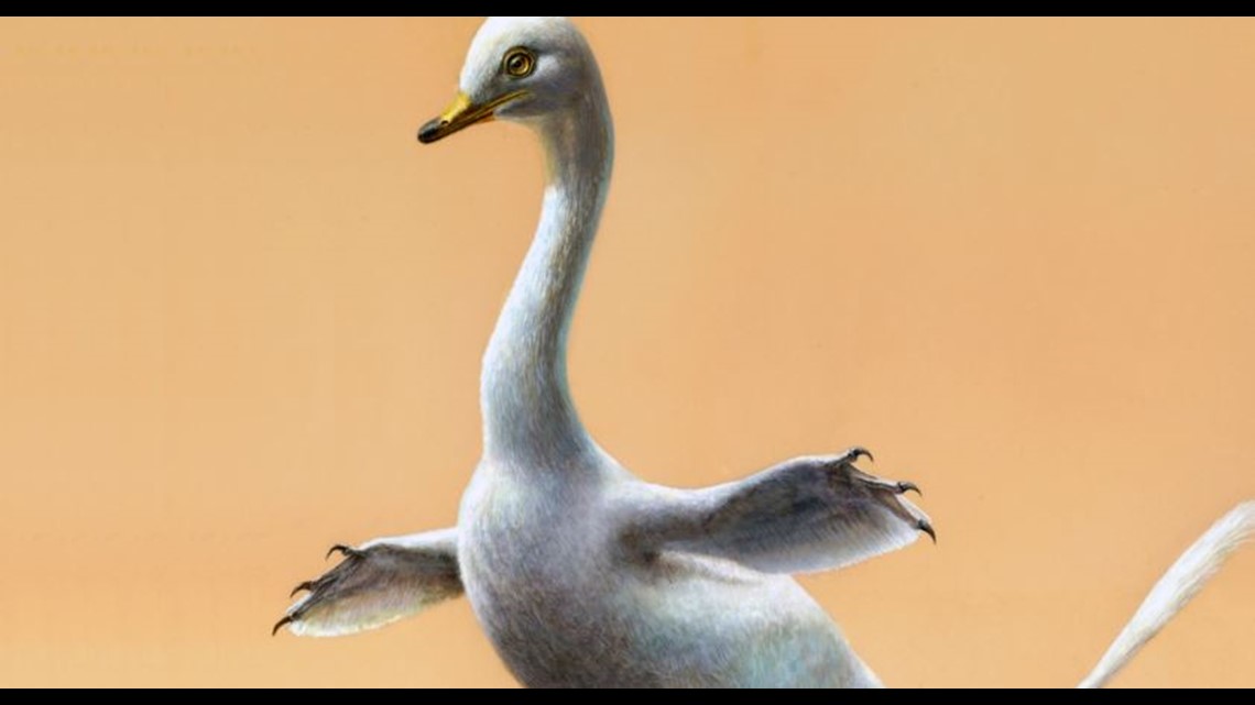 New dinosaur looks like odd mix of duck, croc, ostrich, swan | 10tv.com
