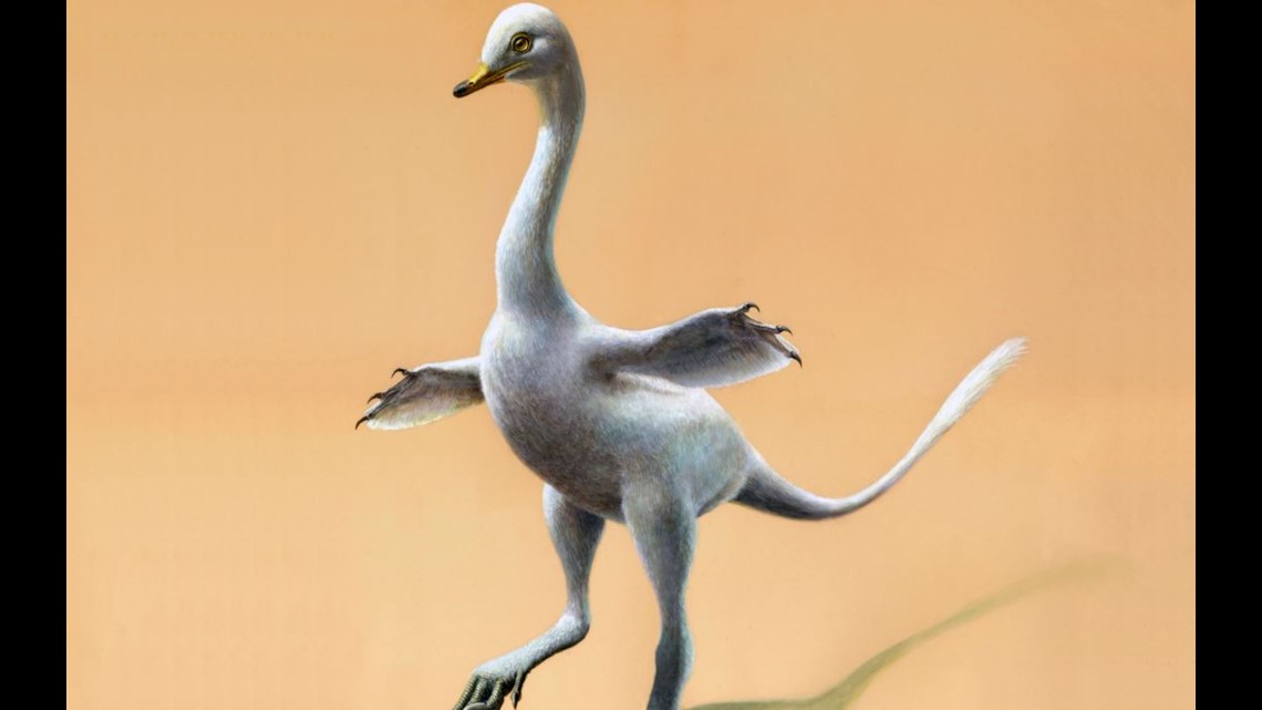 New dinosaur looks like odd mix of duck, croc, ostrich, swan | 10tv.com