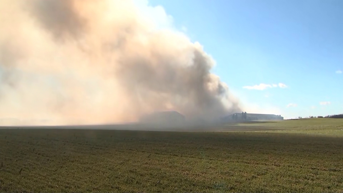 6,000 pigs killed in large Ohio barn fire | wthr.com