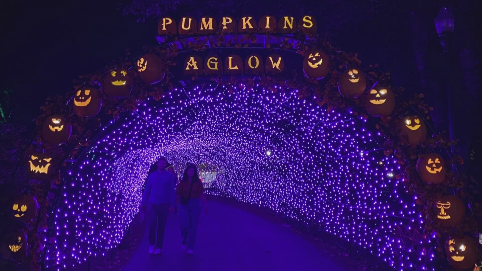 'Pumpkins Aglow' exhibit returns to Franklin Park Conservatory | 10tv.com
