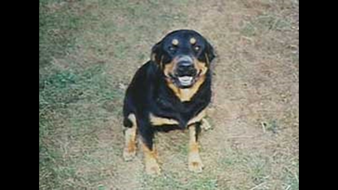 Dog Shot, Killed By Arrow | 10tv.com