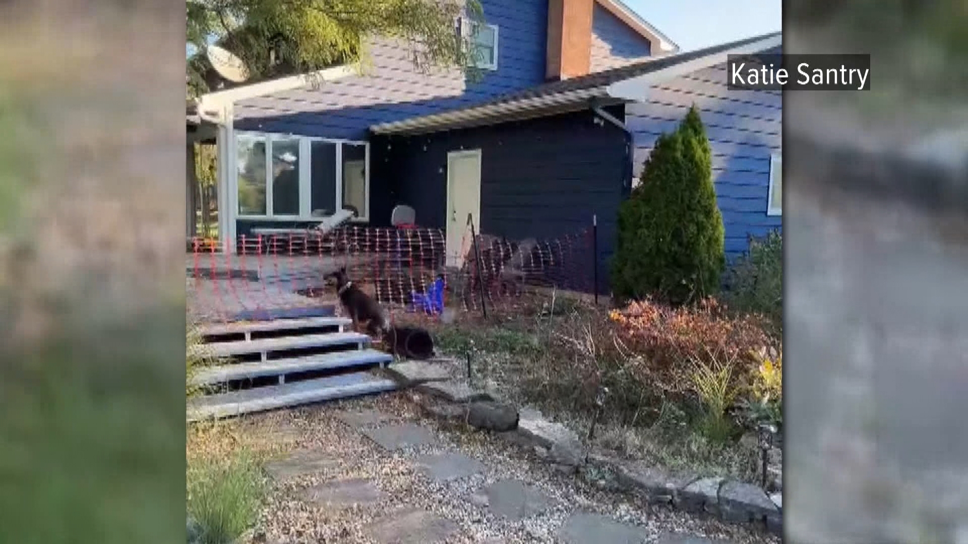 Katie Santry on TikTok, finding rug buried outside her Ohio home | 10tv.com