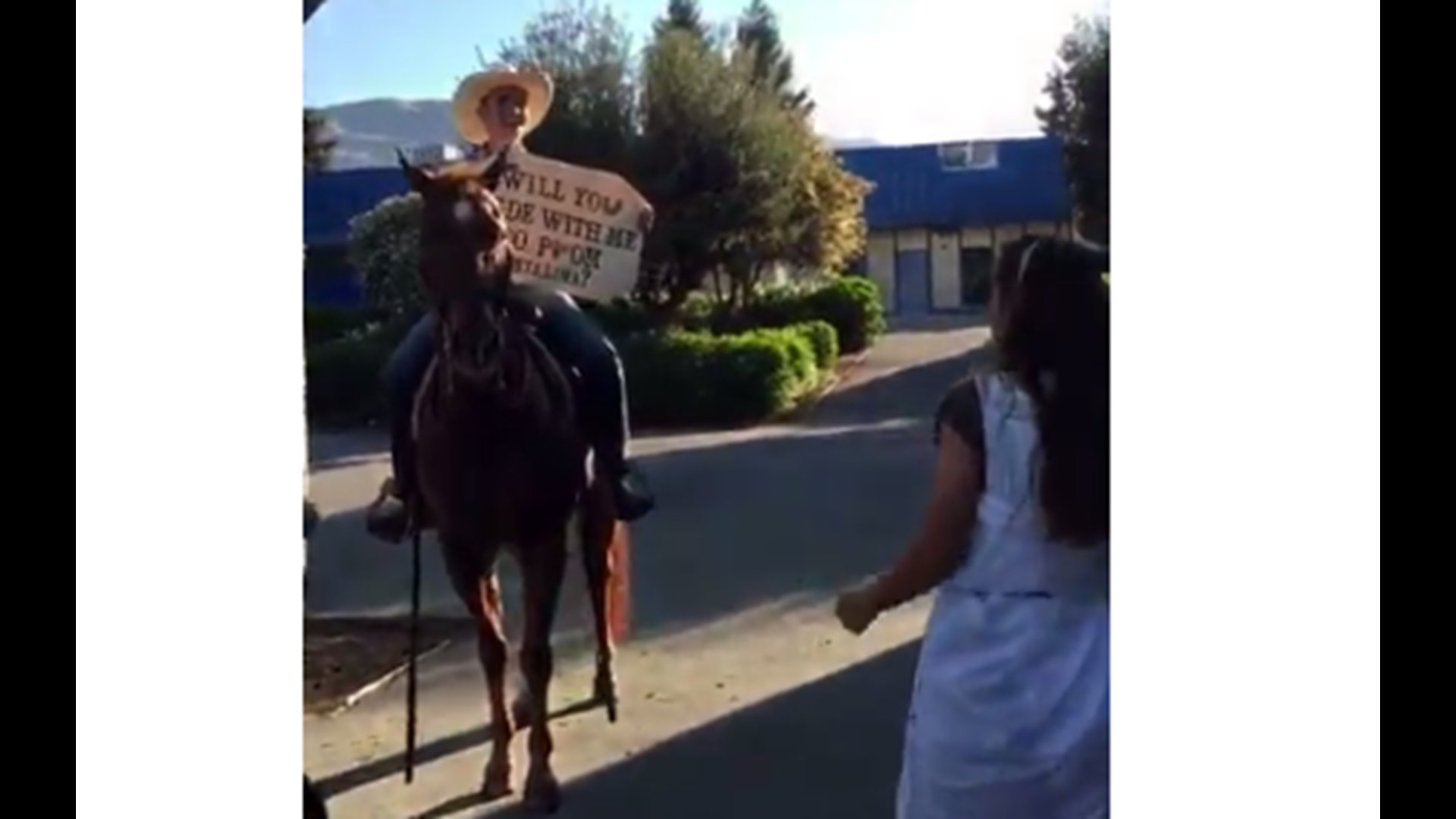 California Student Suspended After Riding Horse To School For Prom ...